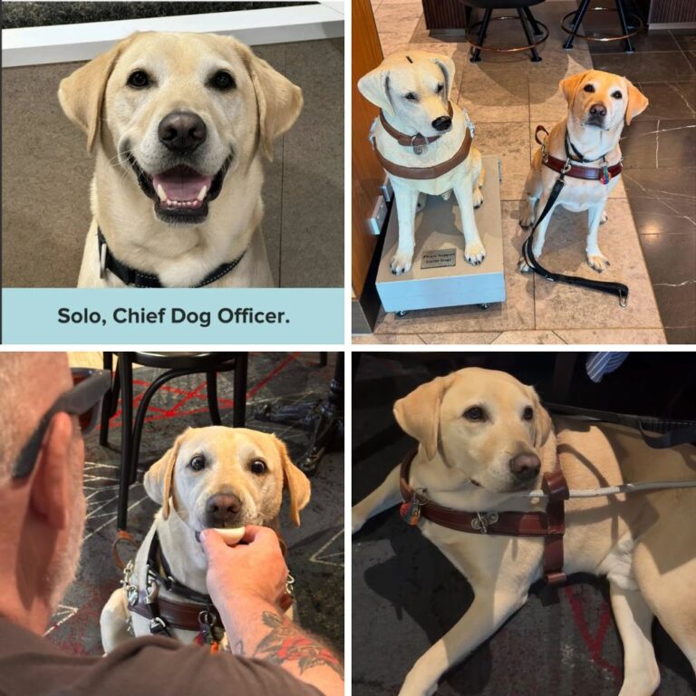 Guide Dogs NSW/ACT – Hornsby RSL Club